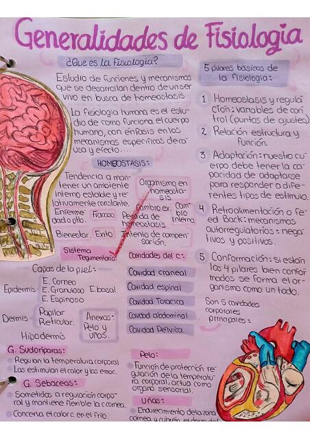 Generalidades de Fisiología (Mapa Conceptual) | Liz Parra | uDocz