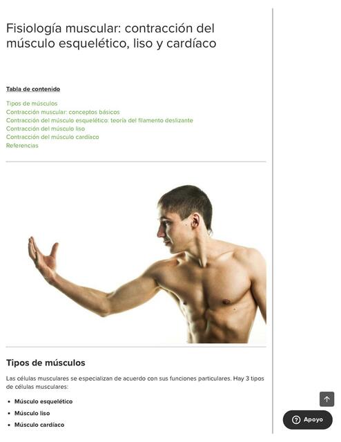 Fisiología Muscular: Contracción del Músculo Esquelético, Liso y ...