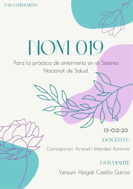 NORMA Oficial Mexicana NOM 019 | Yenzuni Abigail Castillo Garcia | uDocz