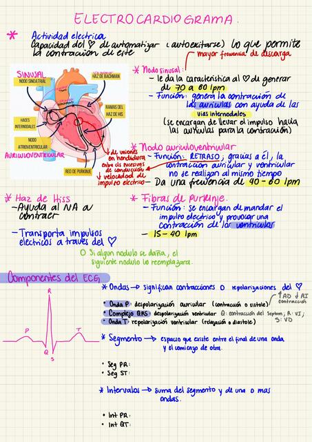 Electrocardiograma | PAULA VELASQUEZ MUNOZ | uDocz