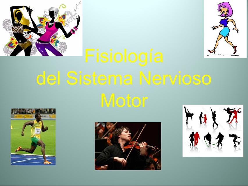 Fisiología del sistema nervios motor | Frank Ferreira | uDocz