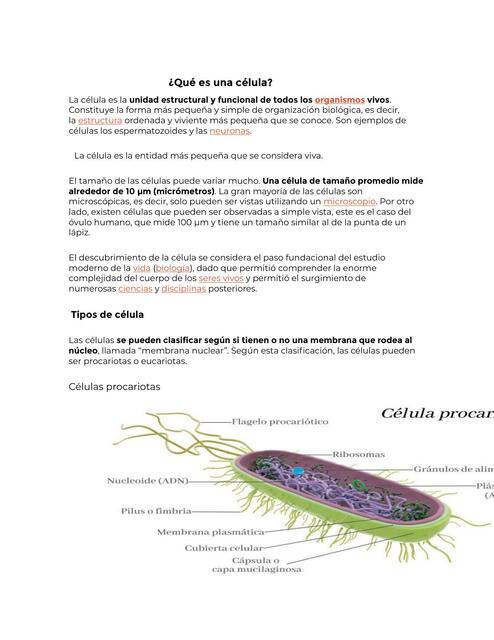 Celulas y Tipos de Células | Aura Ester Peréz Rada | uDocz
