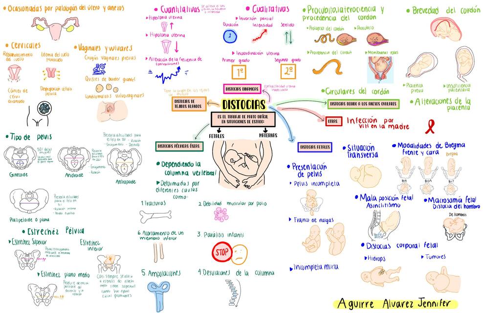 Distocias | Medicina | uDocz