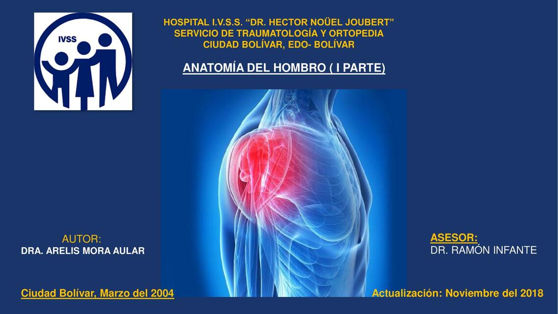 Anatomía del hombro parte I | arelis mora aular | uDocz