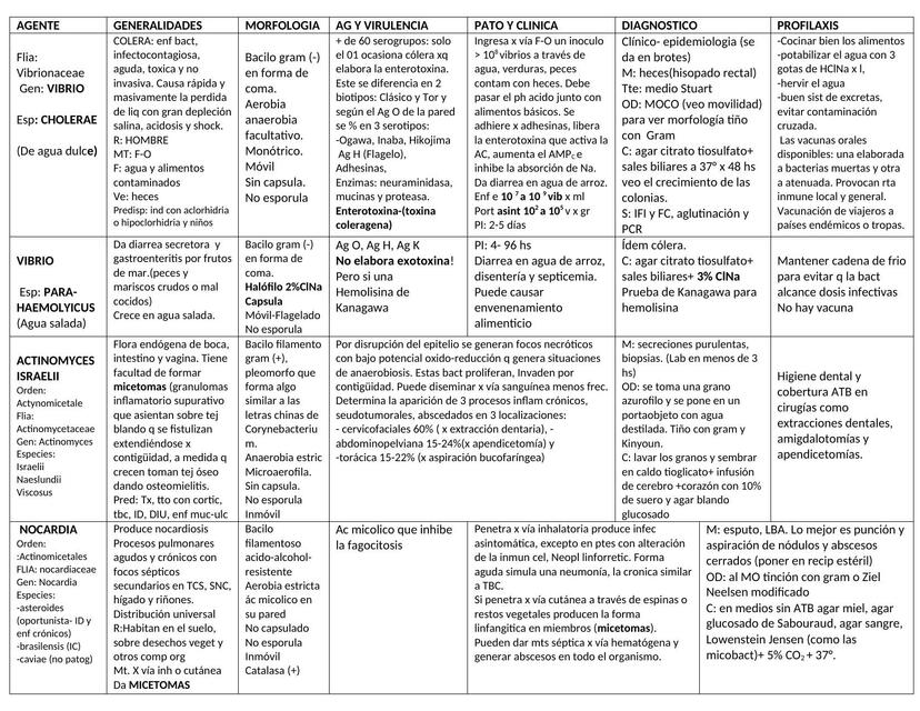 Flashcards de Cuadro Bichos (Microbiología) | Por Maura Vera | uDocz
