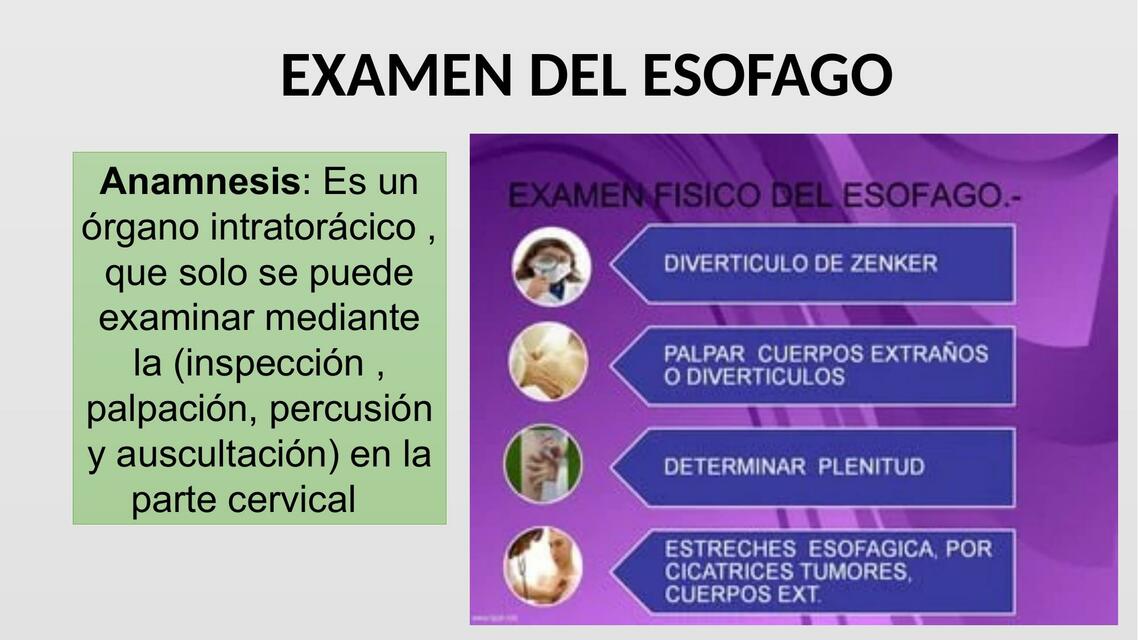 Examen del Esófago | Esme Choque | uDocz
