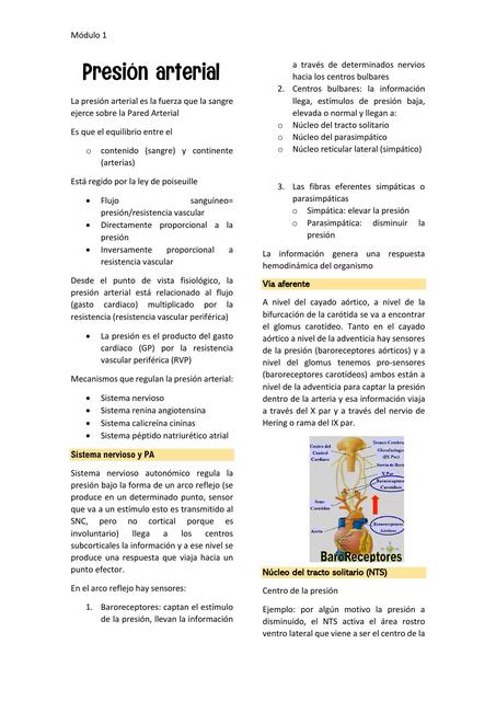 Presión Arterial | Maria Fernanda Rocca Quintana | uDocz Presión Arterial | Maria Fernanda Rocca Quintana | uDocz