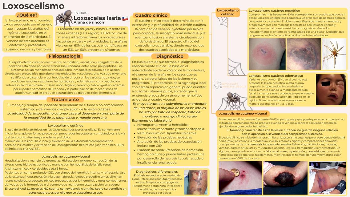 Loxoscelismo cutáneo y cutáneo-visceral | Romina Cofre | uDocz