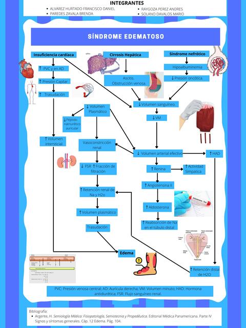 Síndrome edematoso | Solano Davalos Mario | uDocz