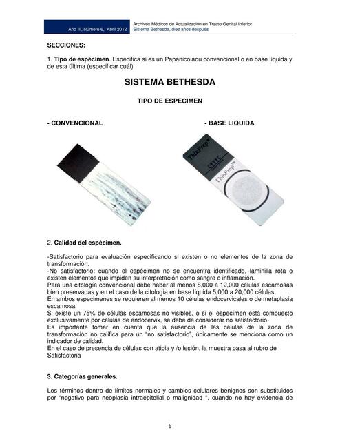 Sistema Bethesda | apuntesmedicos1 | uDocz