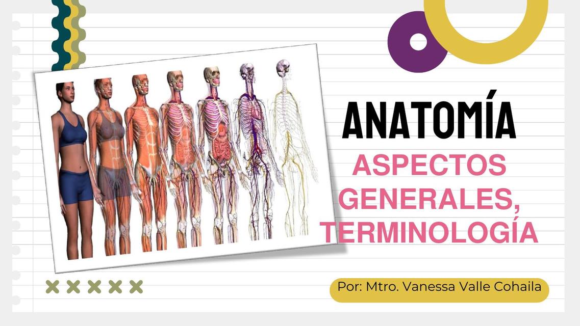 Anatomía | Alexandra Orocollo | uDocz