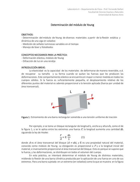 Determinación Módulo de Young | Apuntes de Física | uDocz