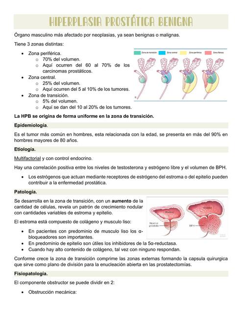 Hiperplasia Prostática Benigna | Medicina.zip | uDocz