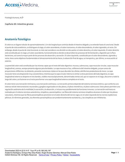 Anatomía fisiológica | LETZY ROCÌO FLORES ROMERO | uDocz