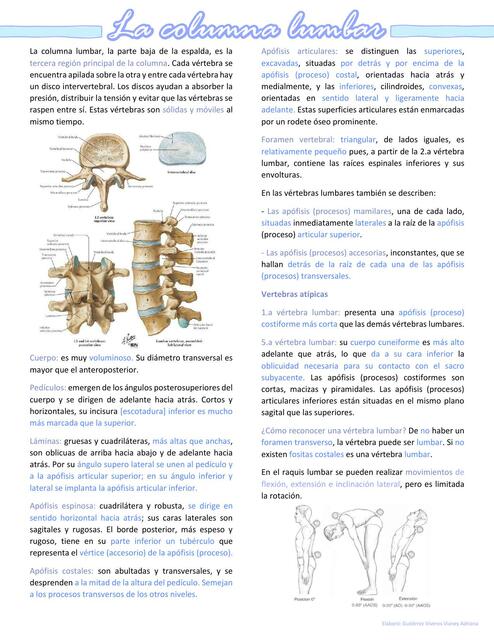 La Columna Lumbar | Vianey Adriana | uDocz
