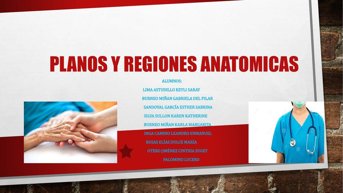 Planos y Regiones Anatómicas | Karen Katherine Silva Sullon | uDocz