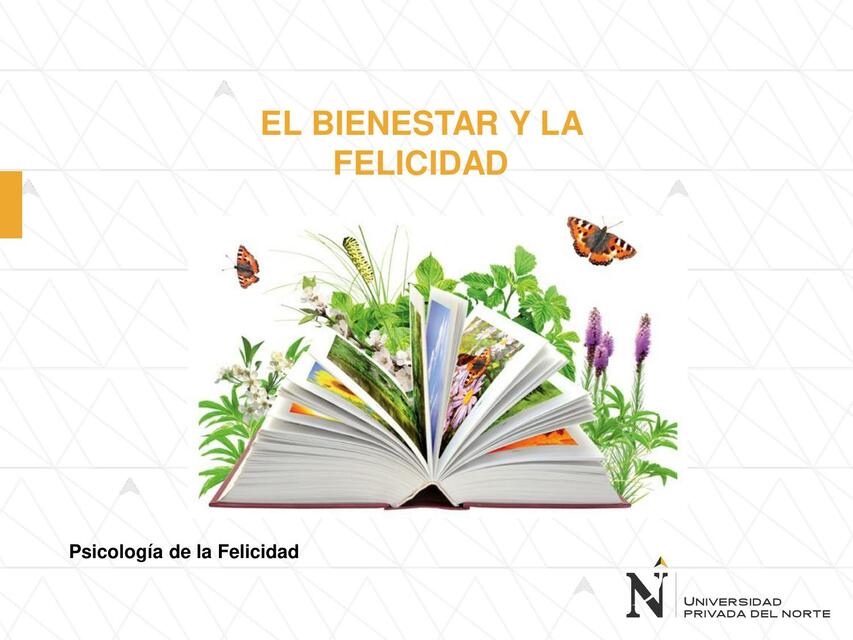 Psife S1 Bienestar Y Felicidad Study Ingeniería Udocz