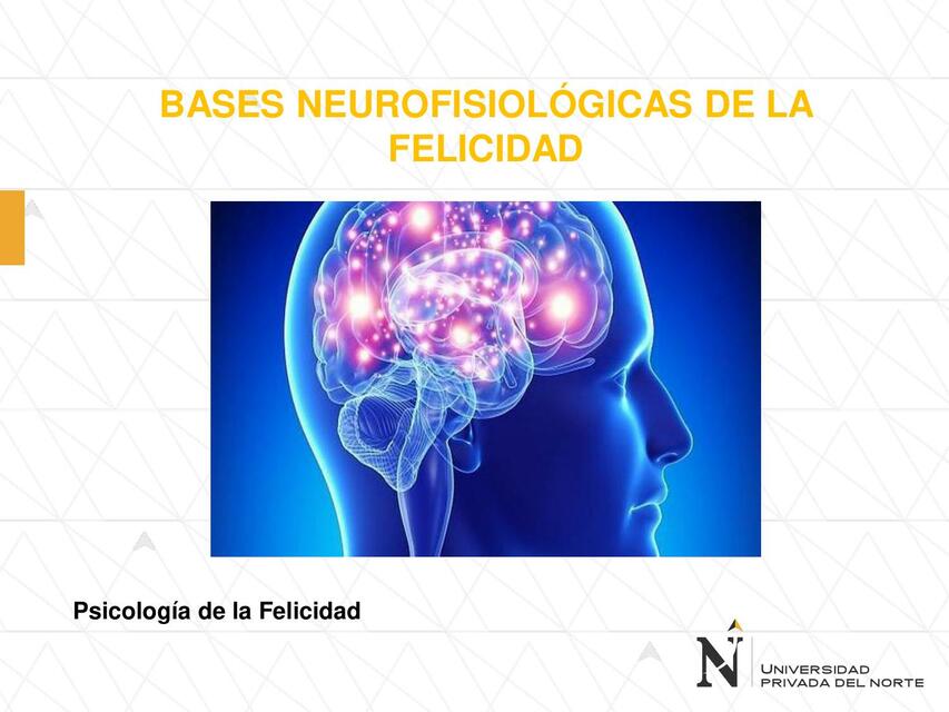 PSIFE S5 Bases Neurofisiologicas de la Felicidad | Study Ingeniería | uDocz