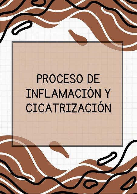 Proceso de inflamación y cicatrización | Ness CV | uDocz