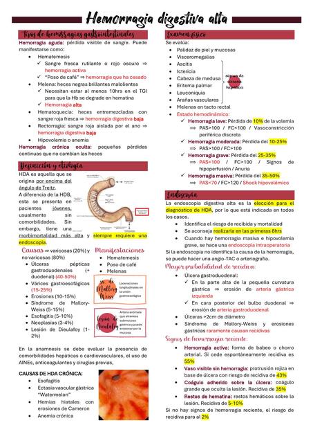 Hemorragia digestiva alta | Melissa Alva | uDocz