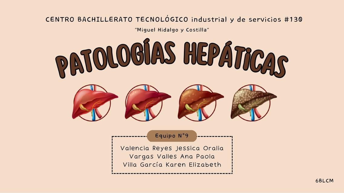 Patologías hepáticas | Karen Villa | uDocz