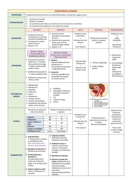 Incontinencia urinaria | ANA LISVETT BUSTAMANTE TARRILLO | uDocz