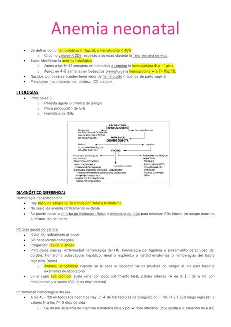 Resúmenes de La Anemia | Descarga apuntes de La Anemia
