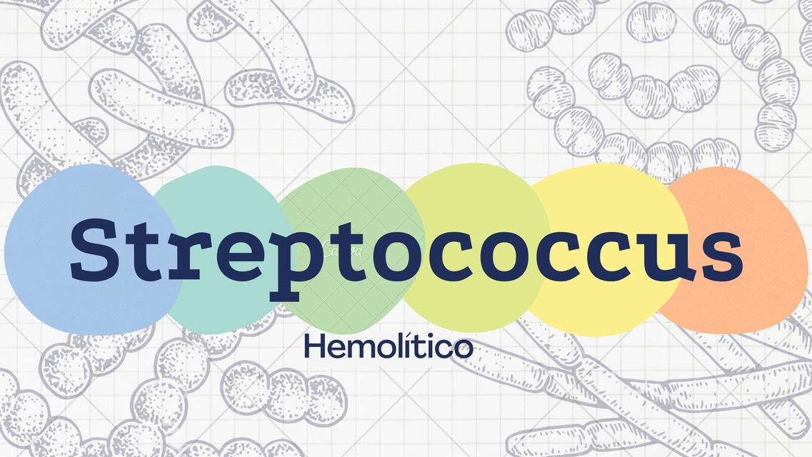Streptococcus | Daniela Melissa Castillo Arvizu | uDocz