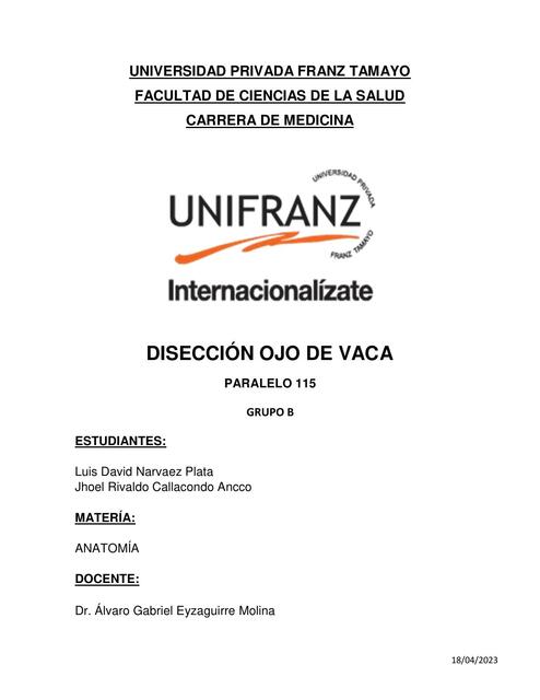 Disección Ojo de Vaca | J. Rivaldo Callacondo A. | uDocz