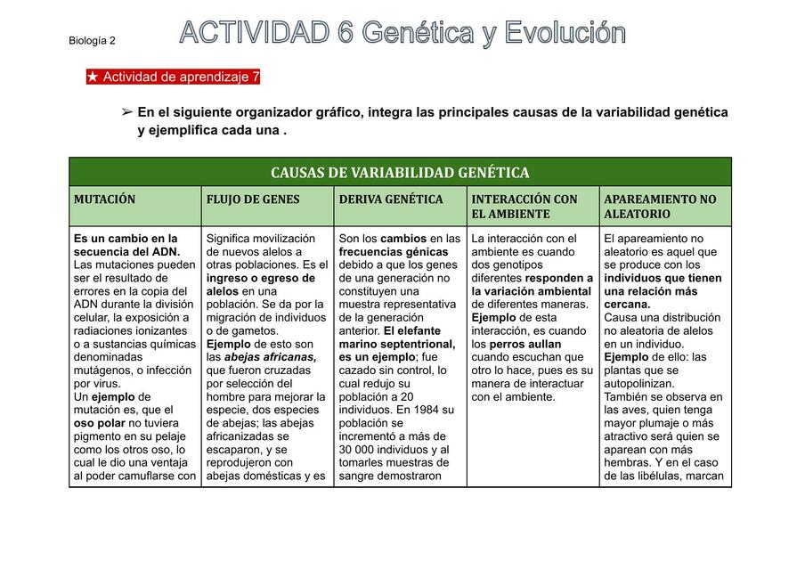 Causas De La Variabilidad Genética Daniela Damian Udocz