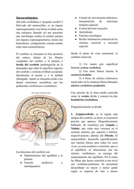 Cerebelo | Experiencia Médica | uDocz