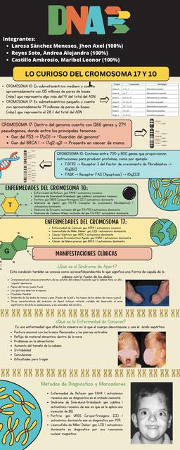 Cromosoma 10 y 17 | Andrea Reyes | uDocz
