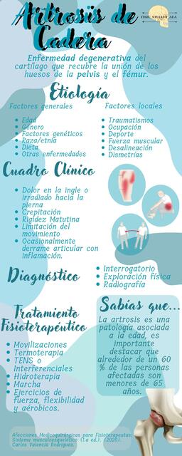 Artrosis de Cadera | Fisio.Ada | uDocz