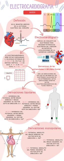 EKG Básico | Carol Ramos | uDocz
