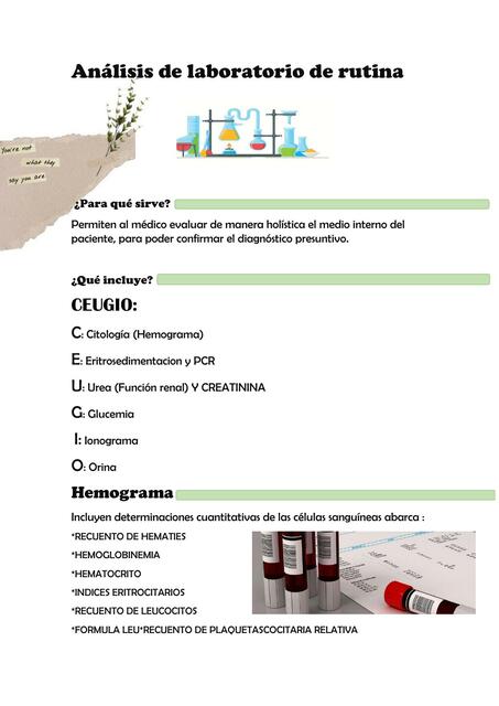 Análisis de Laboratorio de Rutina | Siomara khaory Meza seguil | uDocz
