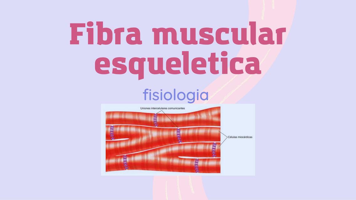 Fibra Muscular Esquelética | Anaís Cartes | uDocz