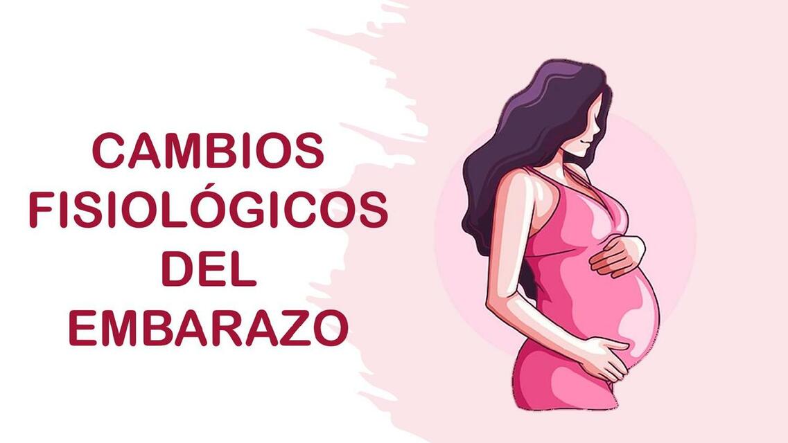 Cambios fisiológicos del embarazo | Delia Caballero Mas | uDocz