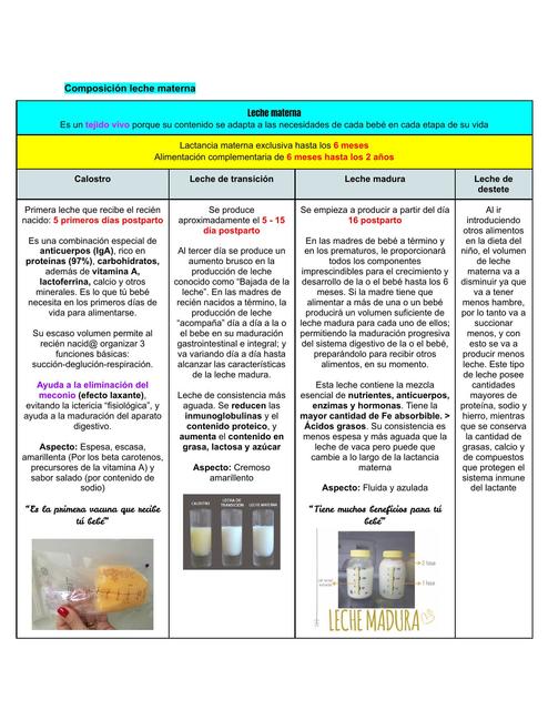 Lactancia materna | Sara Hernández | uDocz