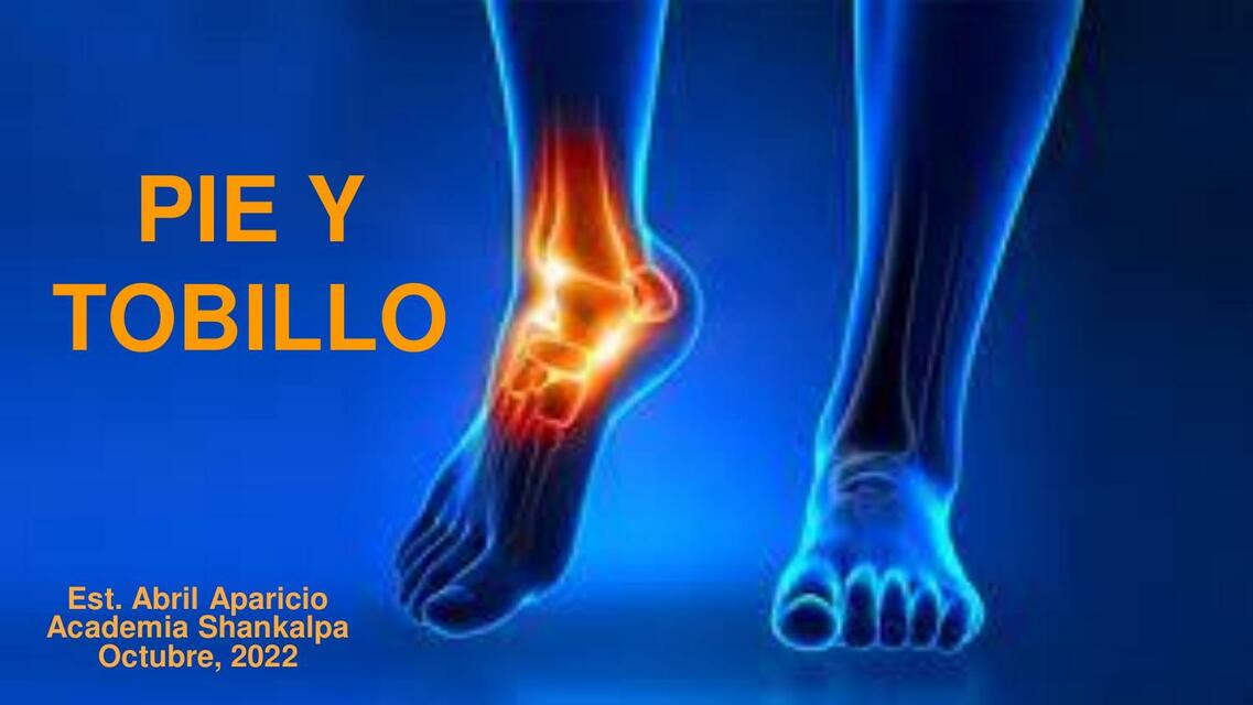 Pie y Tobillo | Abril Aparicio | uDocz
