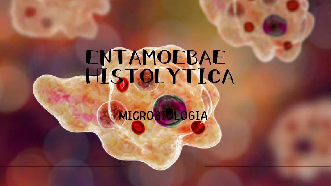 Entamoebae Histolytica | Jennifer Susana Alba Perez | uDocz