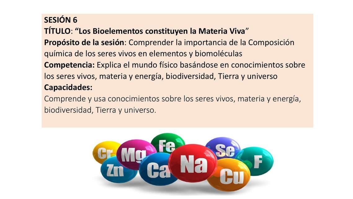 Los bioelementos constituyen la materia viva | Leonor Pacheco Nunura ...