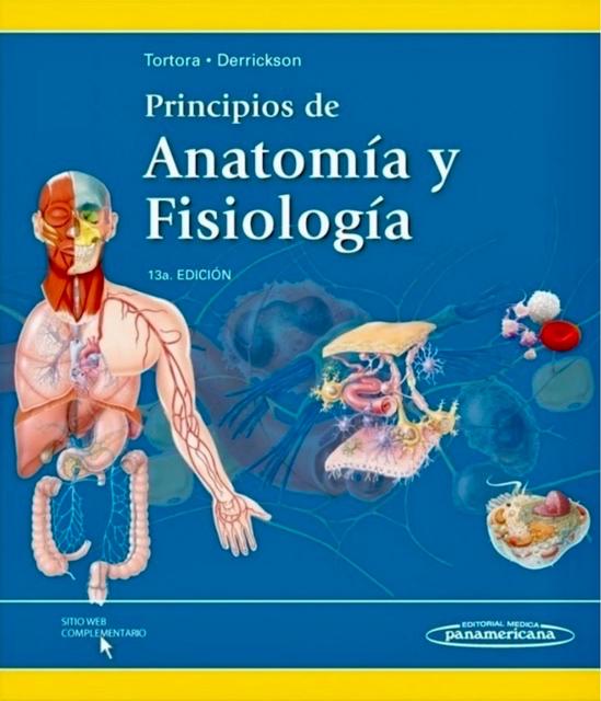 Resúmenes de Principios de Fisiología | Descarga apuntes de Principios ...