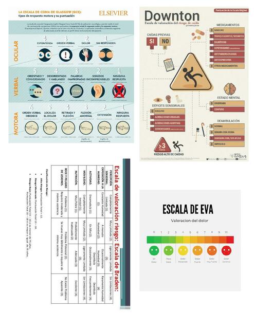 Resúmenes de Escala de eva | Descarga apuntes de Escala de eva