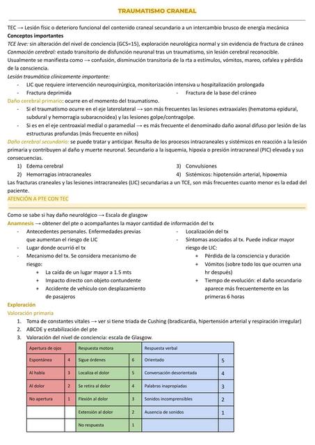 Traumatismo Craneal | Micaela | uDocz