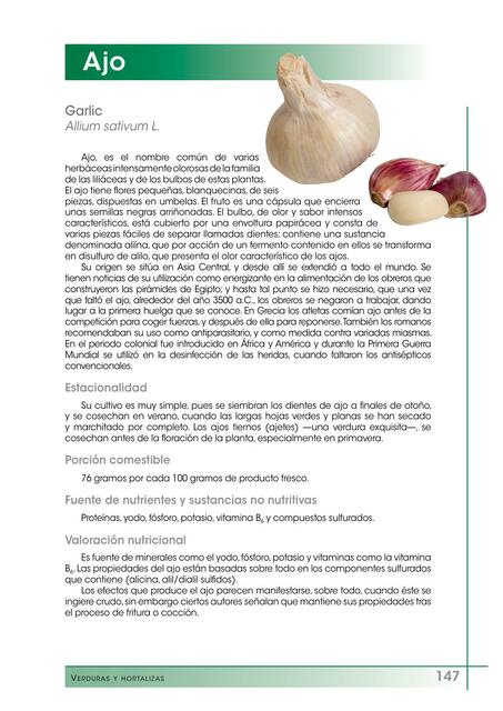 Ajo | Cesar OreFernandini | uDocz