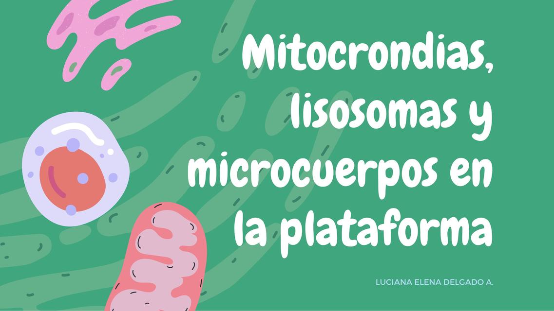Presentación mitocondrias lisosomas y micro cuerpo en la plataforma ...