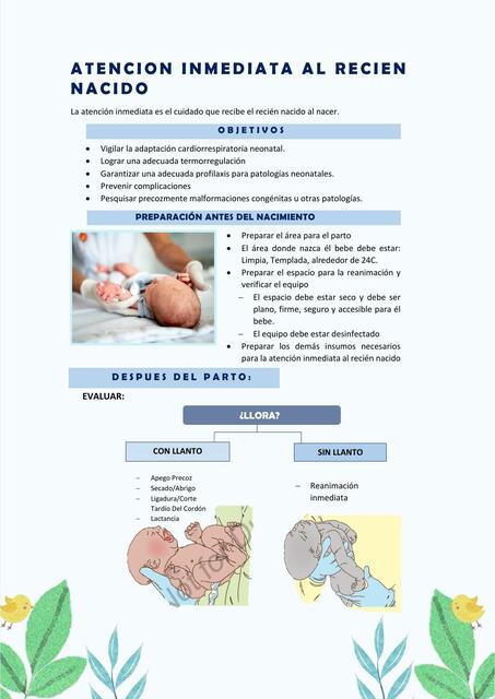 Atención Inmediata al Recién Nacido | NEYDA NAHIR CHACOLLA LUNA | uDocz