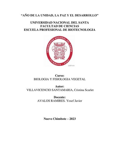 Tejidos Simples | CRISTINA SCARLET VILLAVICENCIO SANTAMARIA | uDocz