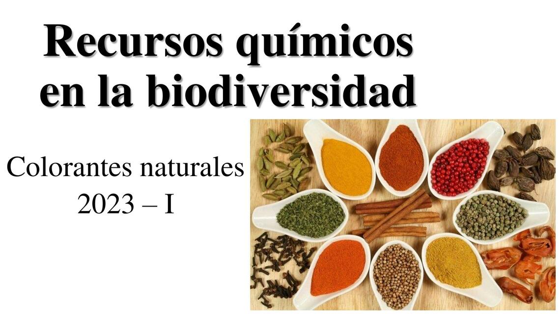 Colorantes Naturales | Study Ingenieros | uDocz