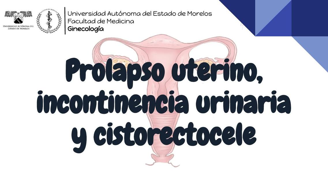 Prolapso uterino | Guillermo Monroy | uDocz